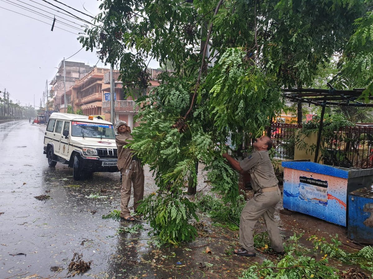 Odisha: 1.5 lakh hectares of agricultural land damaged due to Cyclone ...